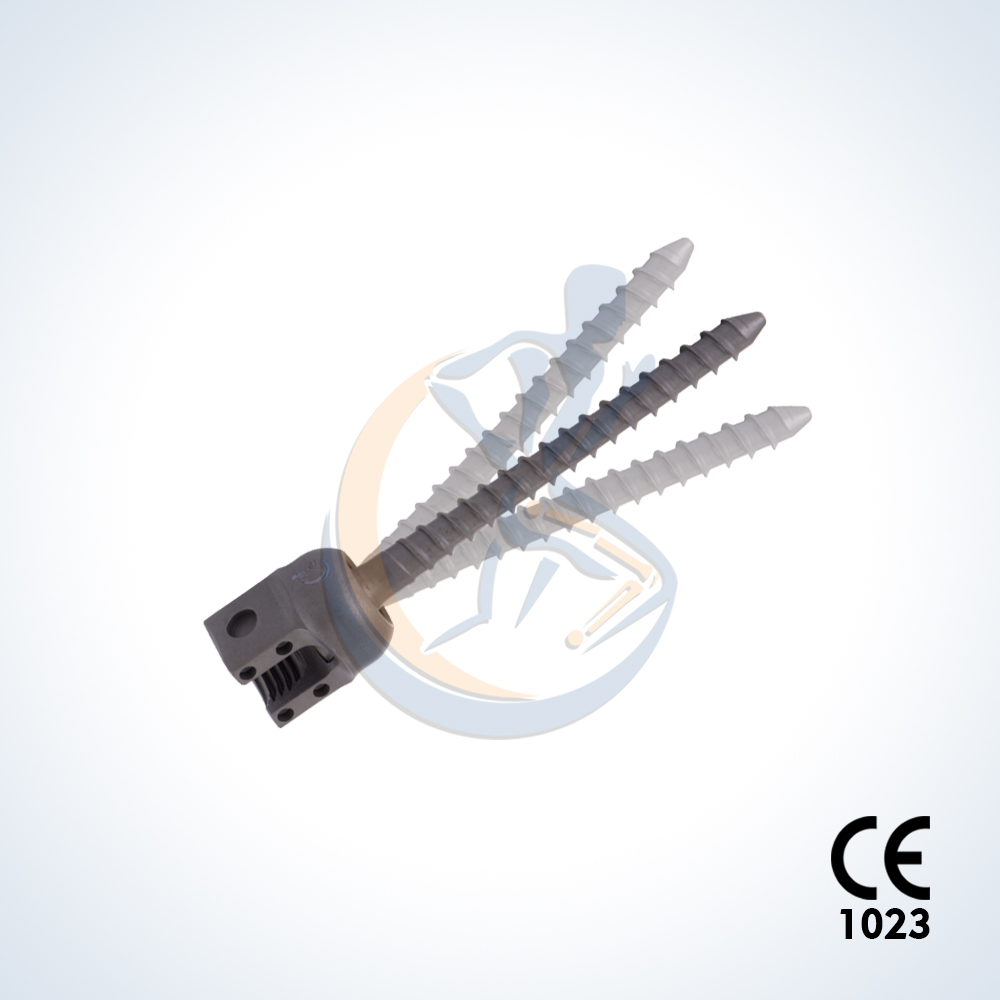POLYAXIAL SCREW – Griportho